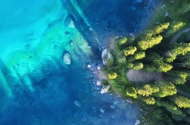 IIGCC - The Institutional Investors Group on Climate Change