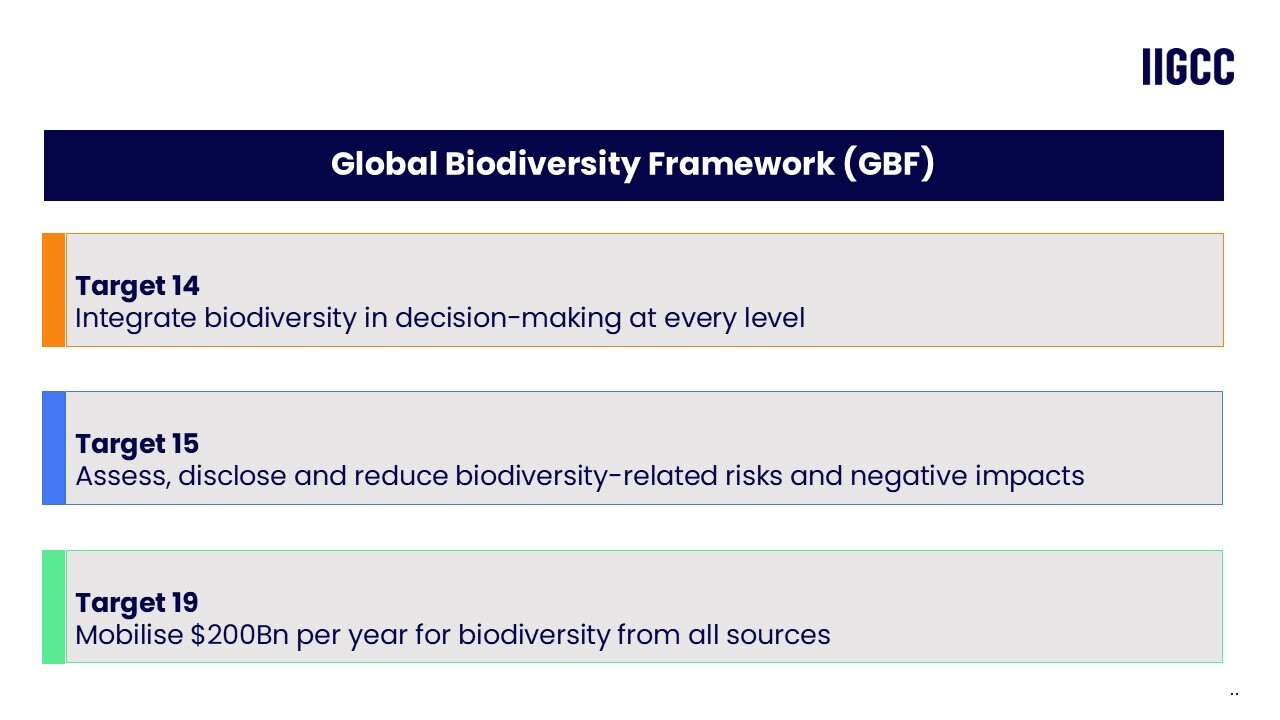 Understanding the biodiversity COP: COP16 and why it matters to investors