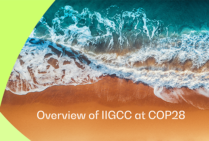 IIGCC at COP28