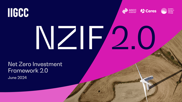 Net Zero Investment Framework