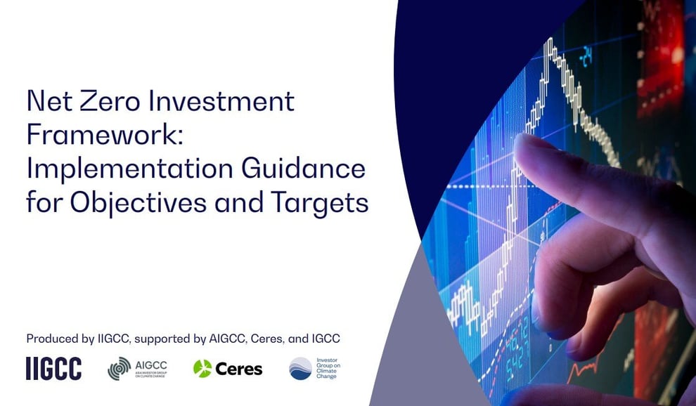 Net Zero Investment Framework